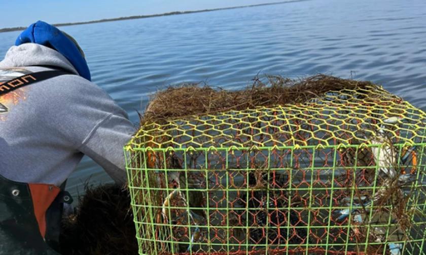 North Carolina Coastal Federation asking watermen and women to help ...