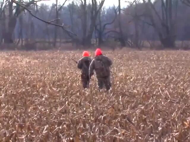 Michigan sees an increase in licenses for 2025 firearm deer season ...