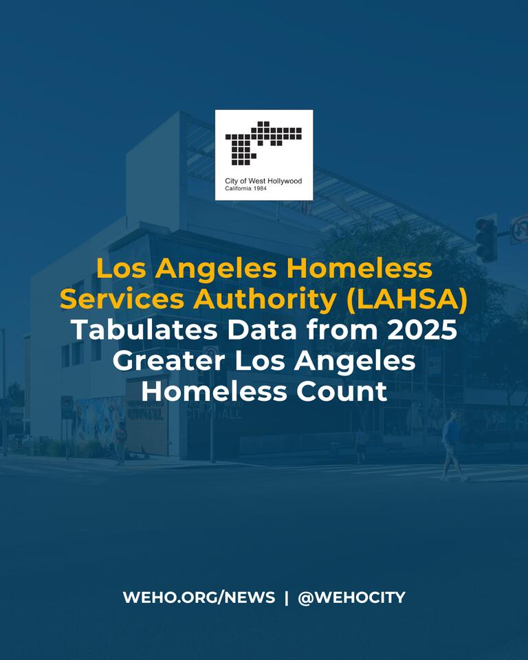 Los Angeles Homeless Services Authority (LAHSA) Tabulates Data from ...