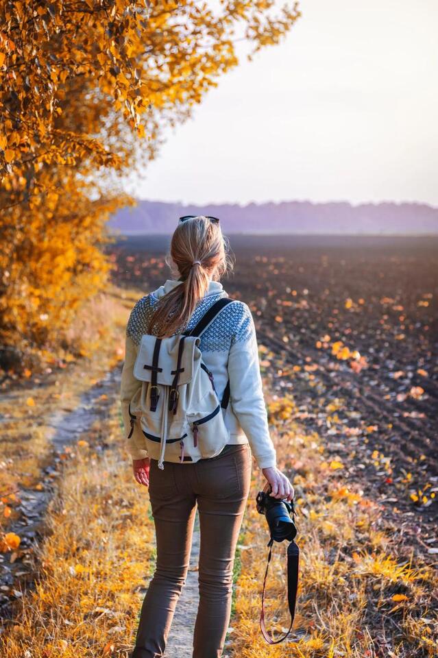 A guide to photographing fall foliage - NewsBreak