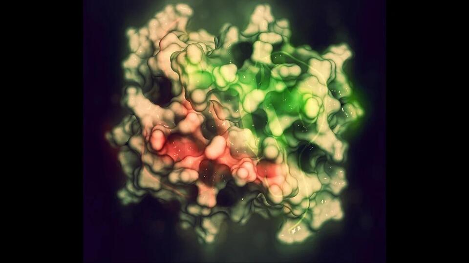 Aging Mice Became Stronger When Scientists Boosted One Protein - NewsBreak