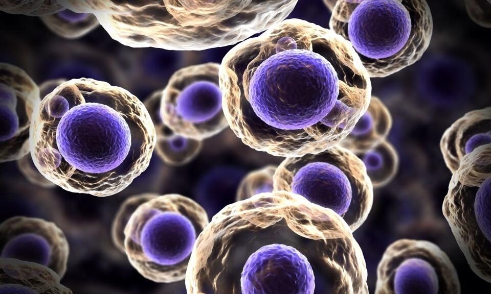 Bacteria build tiny weapons when their membrane is damaged - NewsBreak