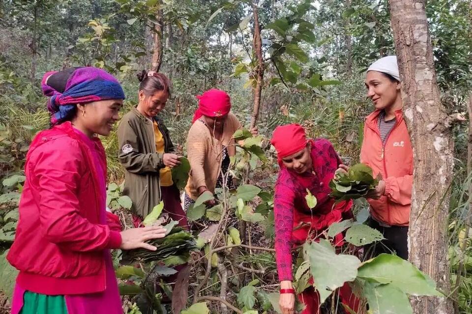 Nepal’s green success story has a hidden social gap, Notre Dame ...