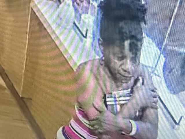 Milwaukee police searching for critically missing woman from Chicago