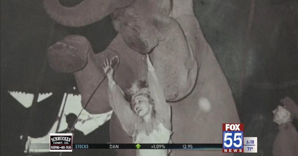 Modoc the elephant Walking Tour in Wabash - NewsBreak