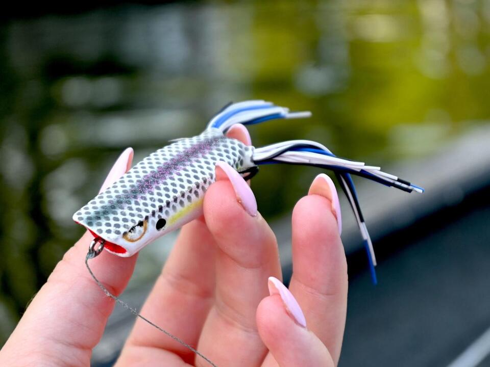 How to Effectively Use a Popping Frog for Summer Bass Fishing