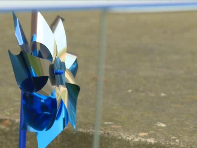 Why you’re seeing blue pinwheels across the Tri-Cities - NewsBreak