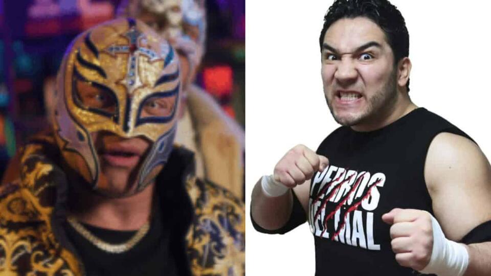 Rey Mysterio Vs. Perro Aguayo Jr.: The In-Ring Incident That Changed ...