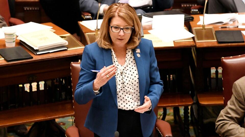 State Sen. Pam Helming discusses pros and cons of the Protect Act ...