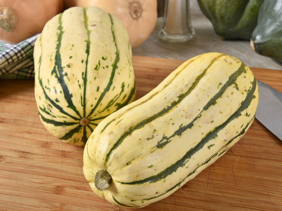 When to harvest delicata squash – tips to pick, cure, and store fruits ...