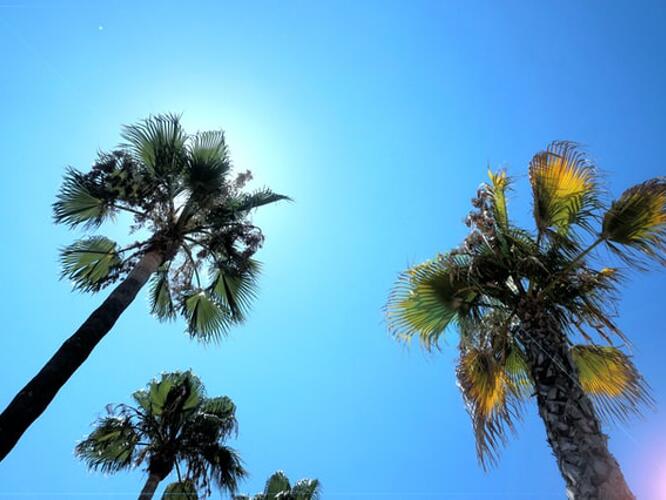 Weather Forecast For Corpus Christi