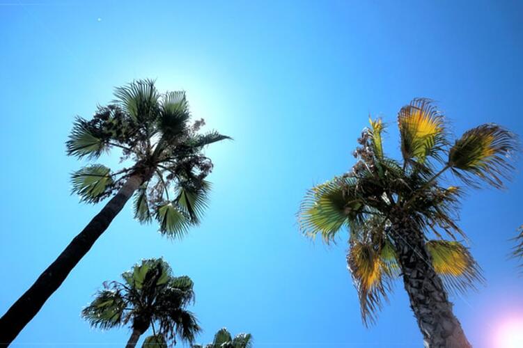 Daily Weather Forecast For Dover - NewsBreak