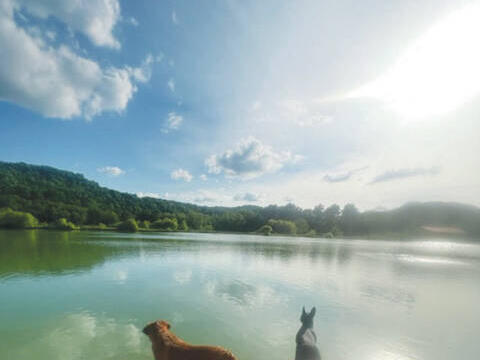 What is the summer solstice?