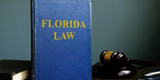 Florida Passes Sweeping Modernization of State Nonprofit Law, Effective ...