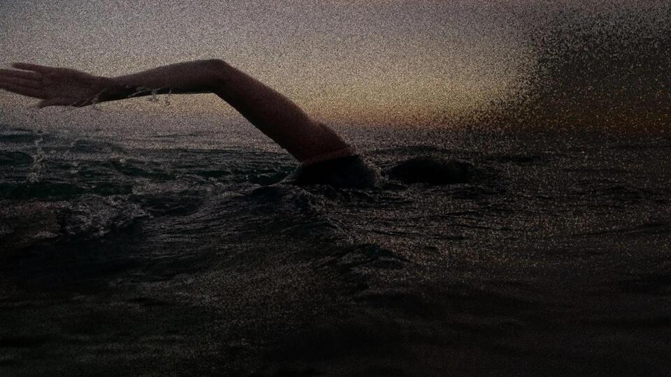 Erica Fox Spent Decades Swimming off the Coast of California. Now ...