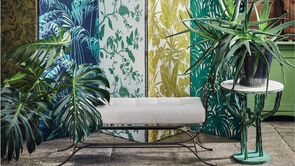 What Your Monstera Needs in June For a Summer of Vigorous Growth and ...