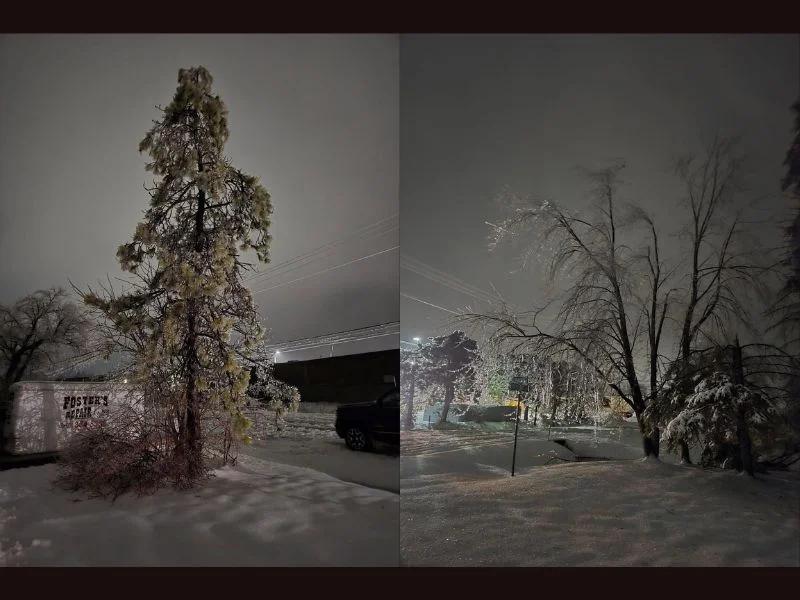 Michigan Ice Storm Slams Alpena as Heavy Icing Brings Down Trees and ...