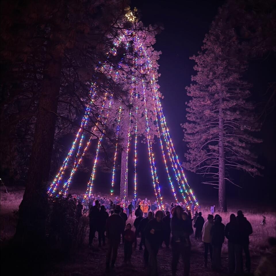 The 2025 Avery Tree Lighting is Tonight!! Don’t Miss It!! - NewsBreak
