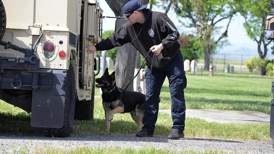 DOGE cuts threaten TSA canine units as Trump White House praises ...