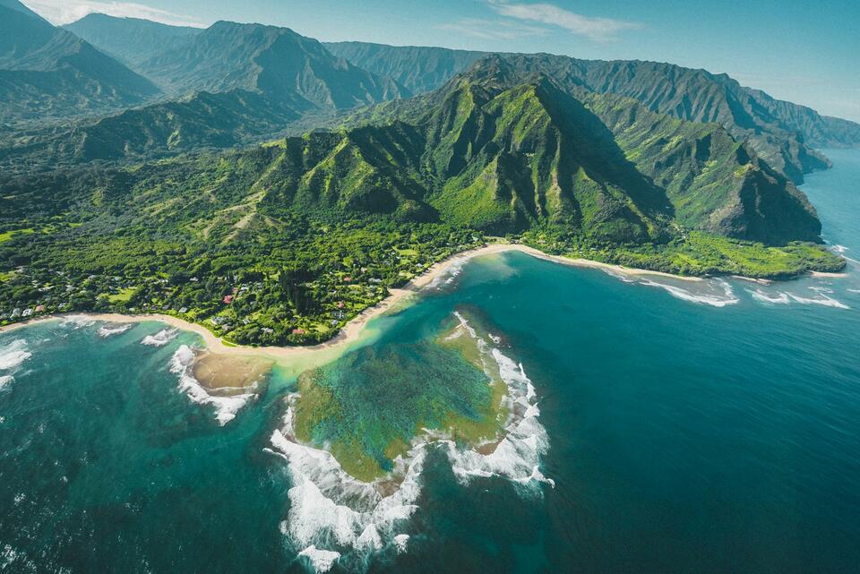 The Fight Against Invasive Species in Hawaii’s Unique Ecosystem - NewsBreak
