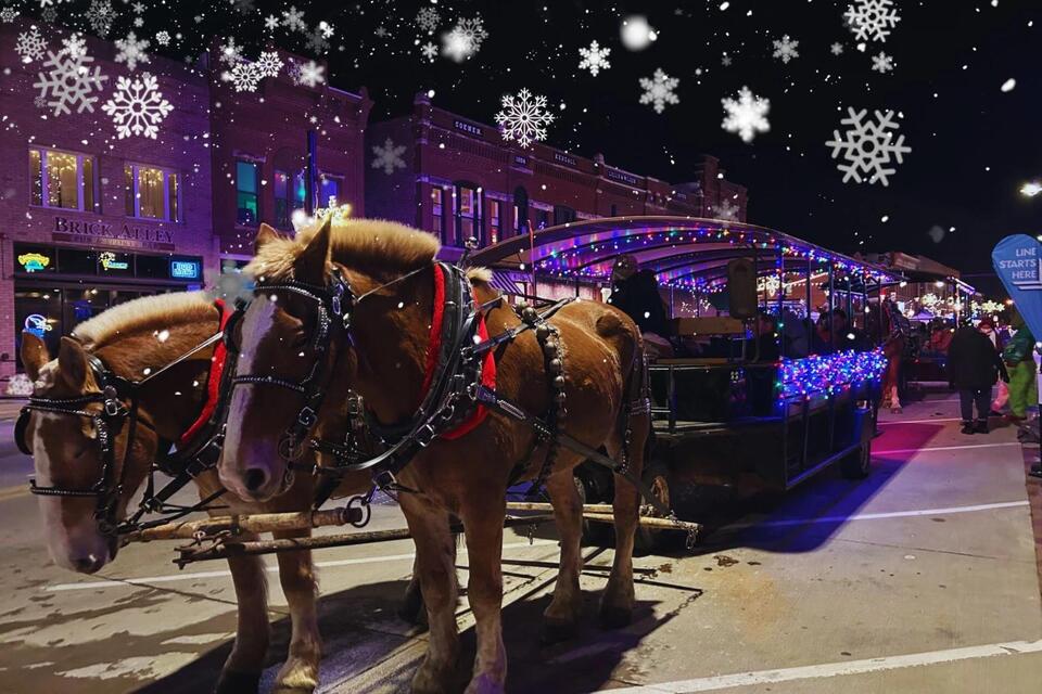 Holiday Magic Returns to Marion with ‘Christmas in the Park’ - NewsBreak