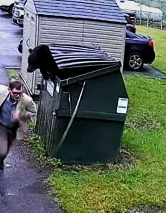 Teacher Finds Bear Inside School Bin In West Virginia - NewsBreak