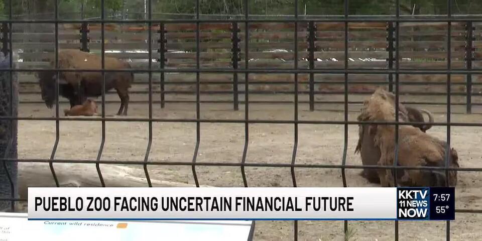 Pueblo Zoo calling on community for help as budget cuts, inflation ...