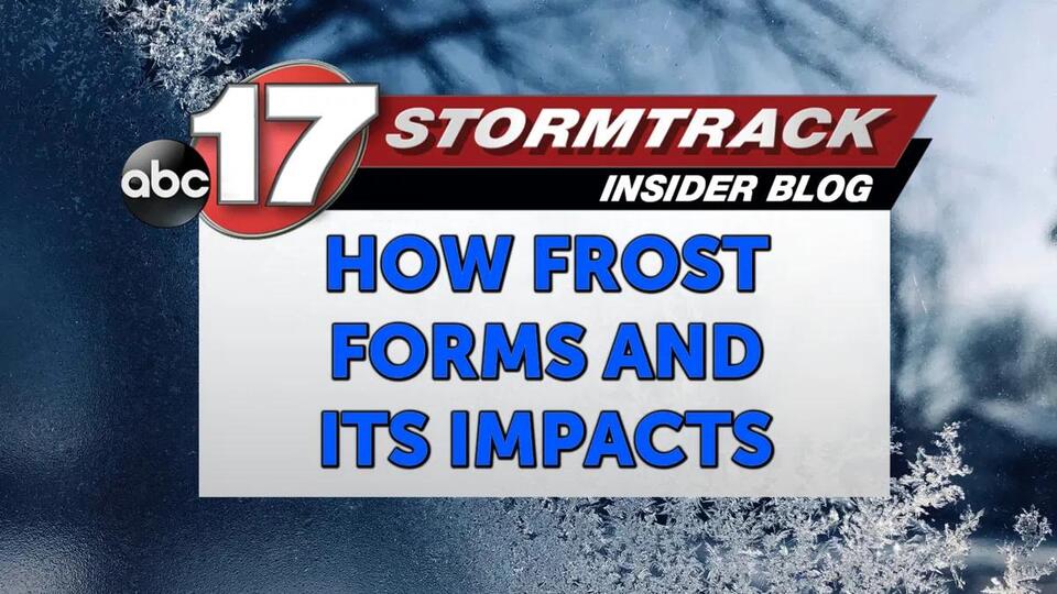 How frost forms and the impacts it can lead to - NewsBreak
