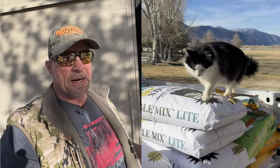 Stone Cold Steve Austin Drops 8 F-Bombs In Hilarious Update On His Barn ...