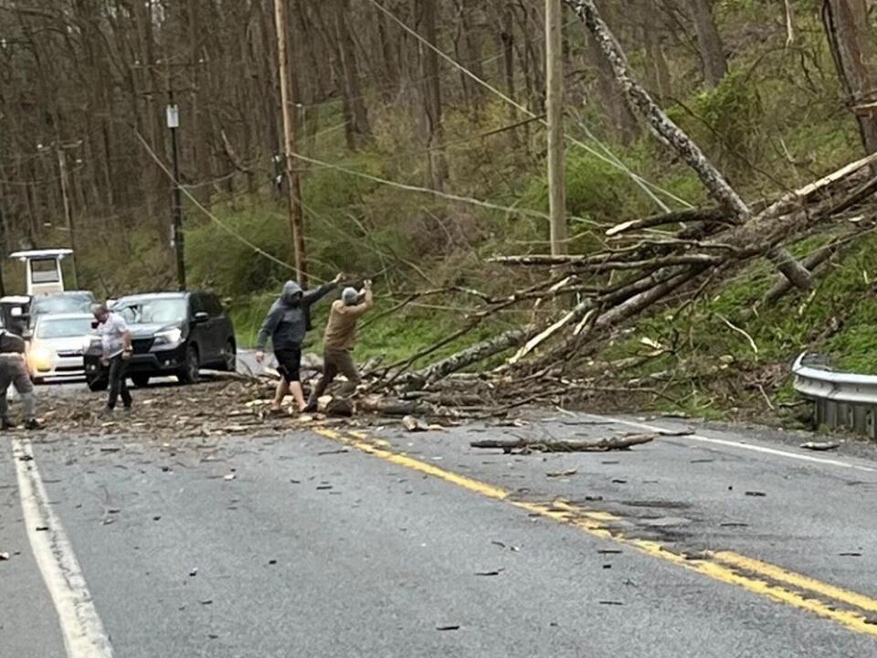 Tree falls on car in Forks Twp., 1 person minorly injured