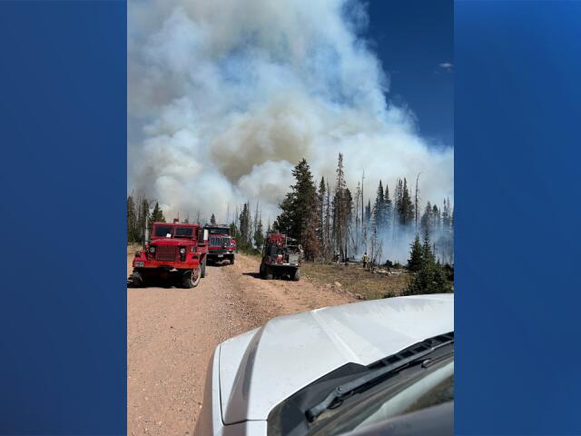 Wildfire breaks out in Uinta Wasatch Cache National Forest
