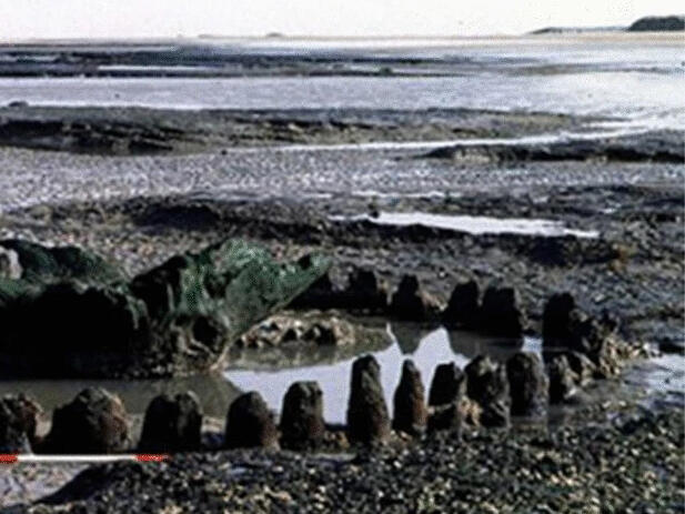 Mysterious 'Seahenge' Structure in UK May Finally Be Explained