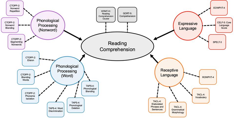 Phonological processing, oral language abilities, and reading ...