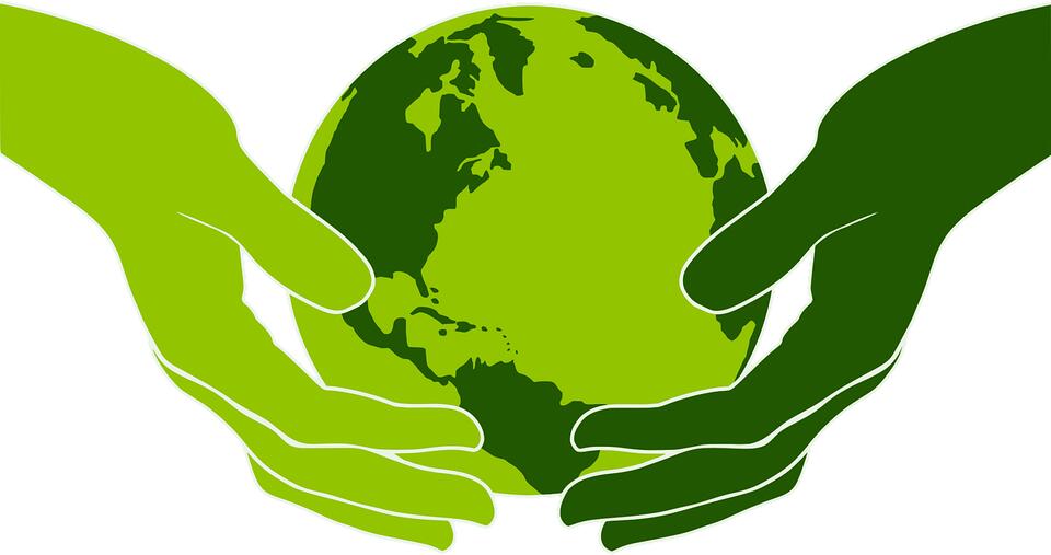 How Wildlife Conservation Can Help Combat Climate Change - NewsBreak