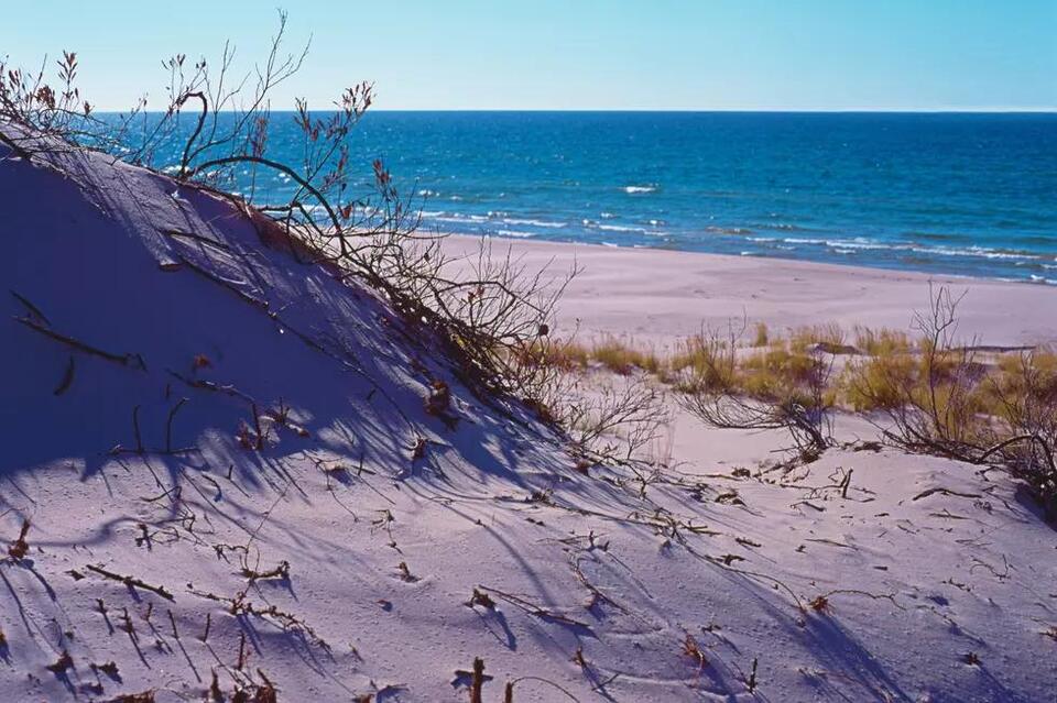 9-Year-Old Fenton Boy Buried in Sand for 5 Minutes—No Pulse, Then a ...