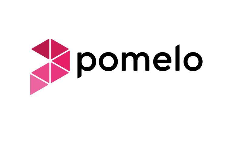 Pomelo Plans Stablecoin Card After Raising $55 Million - NewsBreak