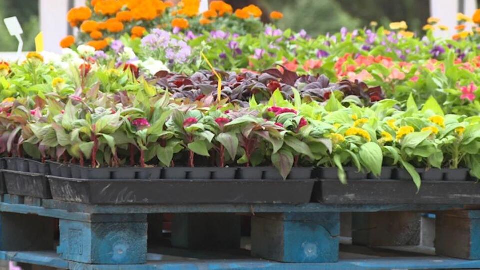 Marion Farmers Market returns May 2 at Willowood Park, running ...