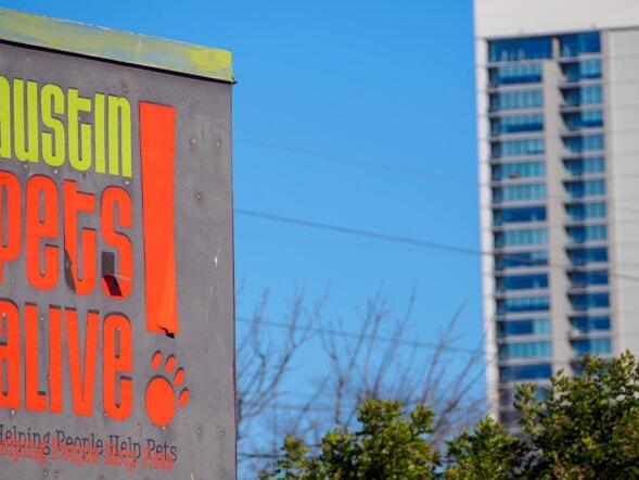 Austin's Pets Alive! Unleashes New Elgin Hub in Grand Expansion to Save ...