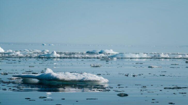 Super El Niño Forecast Signals Accelerated Arctic Ice Melt and ...