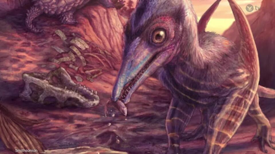 Scientists just discovered an unknown species hidden in the world's ...