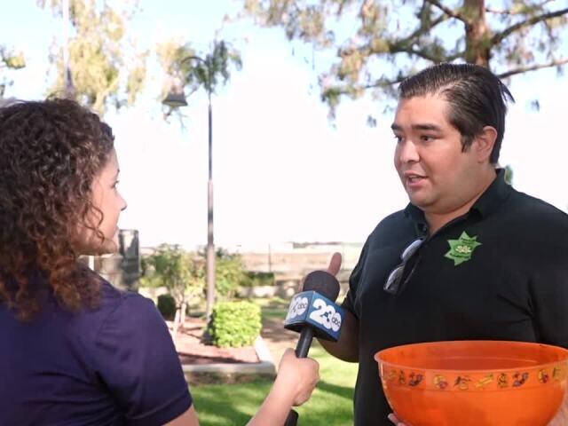 HALLOWEEN SAFETY: Local law enforcement offers tips on Halloween safety ...