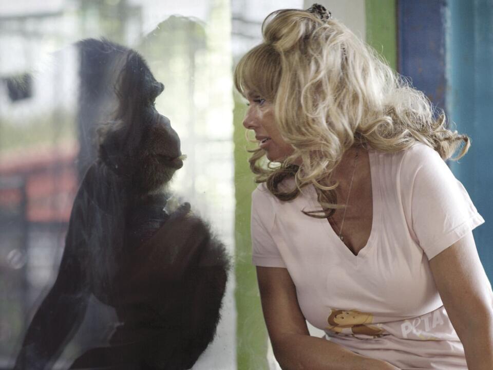 Exotic pets: A Hollywood ape is resurrected in ‘Chimp Crazy’