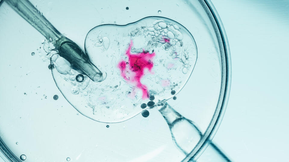 The 30-year-old infant: world’s “oldest” baby born from embryo frozen ...
