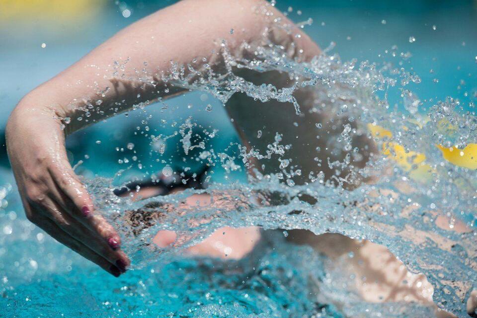 See 13 Swim Camps You Might Love This Winter and in 2024 - NewsBreak