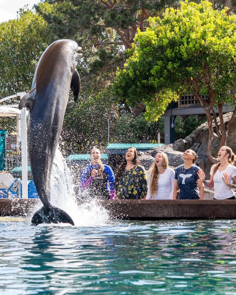 SeaWorld offers bonus guest tickets for Pass Members - NewsBreak