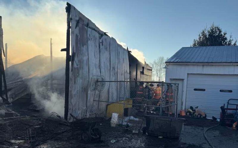 Barn fire on Sunday claims livestock - NewsBreak