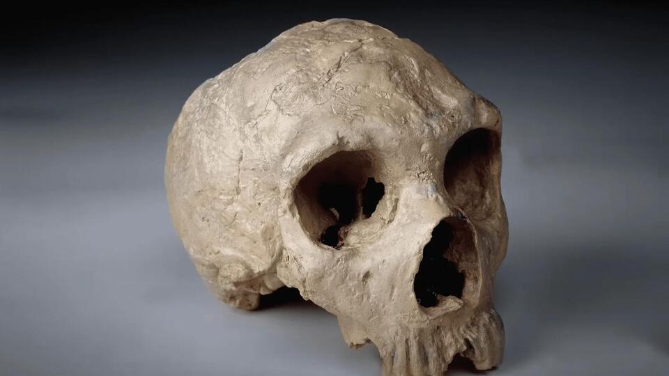 Neanderthal Discovery In France Sheds Light On Their Extinction - NewsBreak