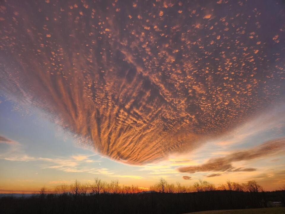 Warm regards for Christmas, as winter takes a spring break after fast ...