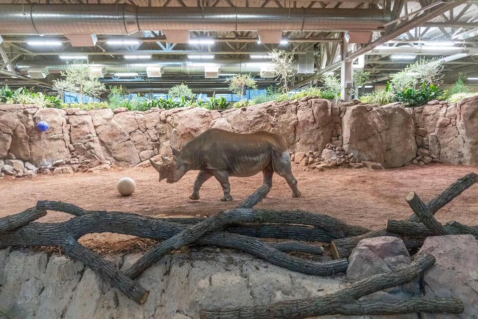 Free admission days at Milwaukee museums and zoo in February 2026 ...