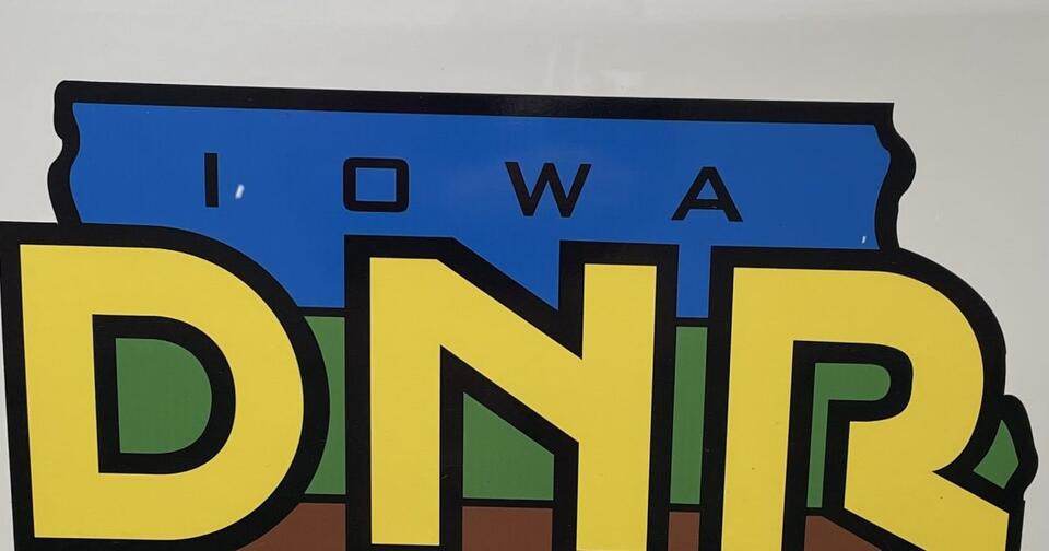 Tiger Salamanders Undergoing Migration - NewsBreak